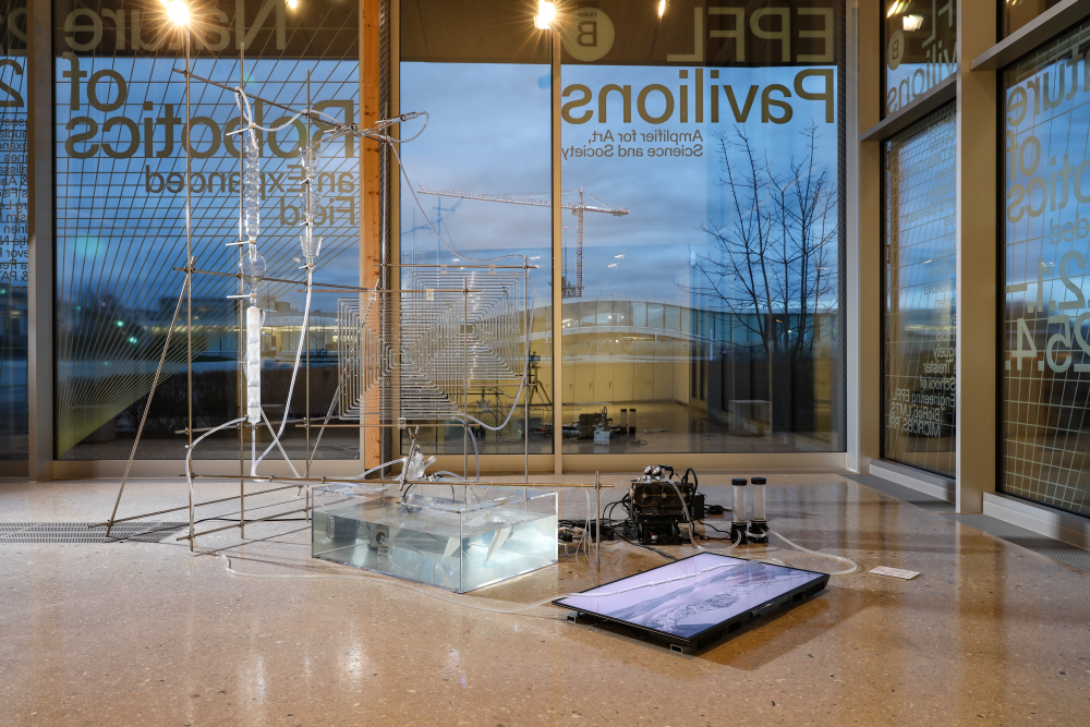 Nature of Robotics - In Conversation - Melissa Dubbin, Aaron S ...